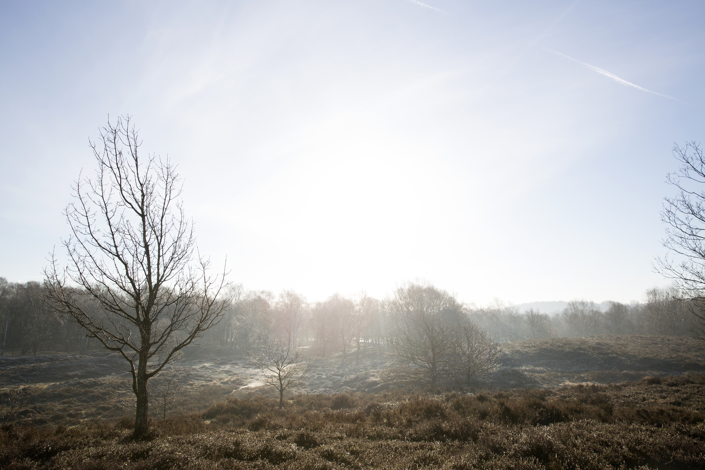 Historie | brande.dk